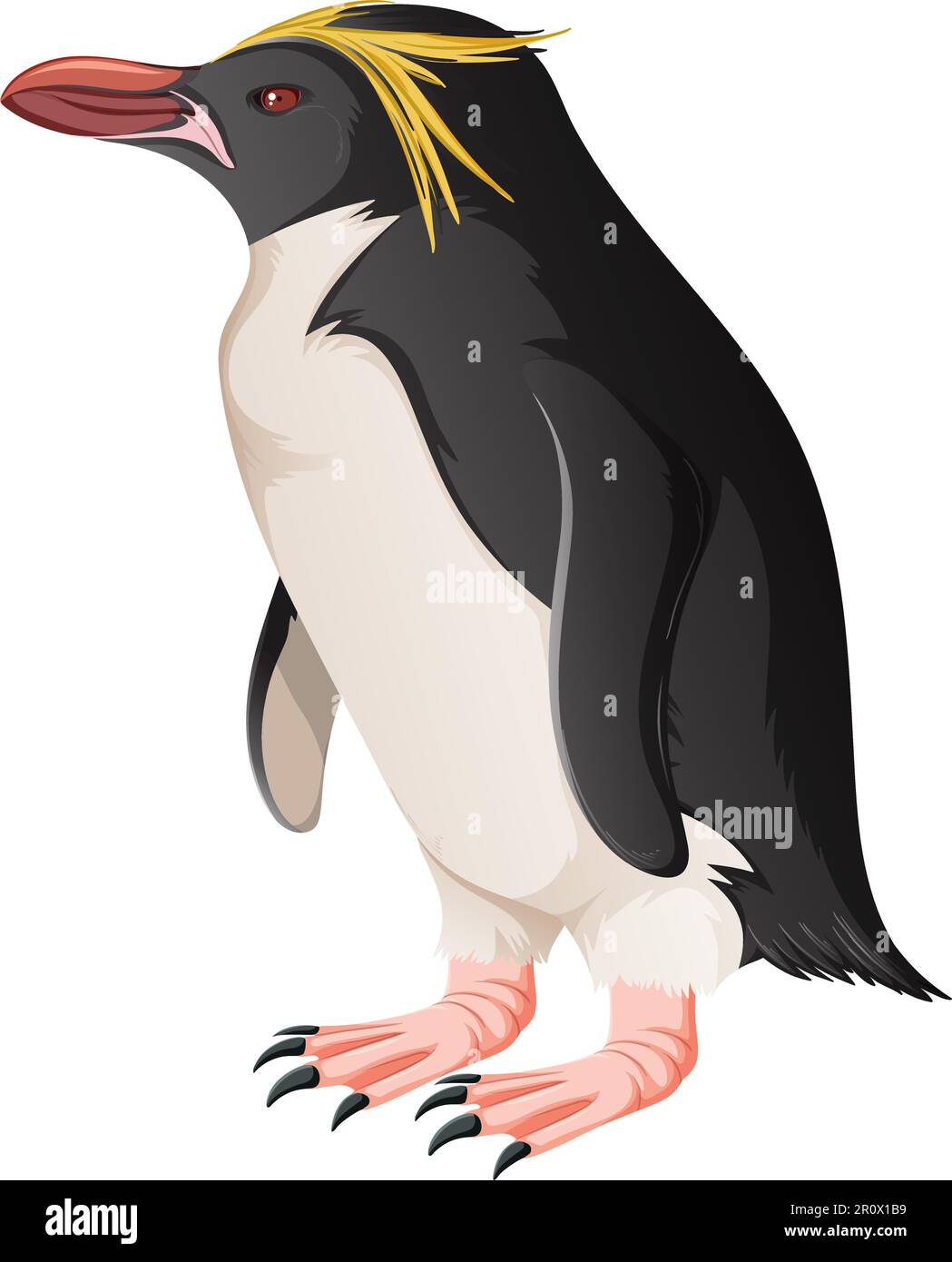 Macaroni penguin Stock Vector Images - Alamy
