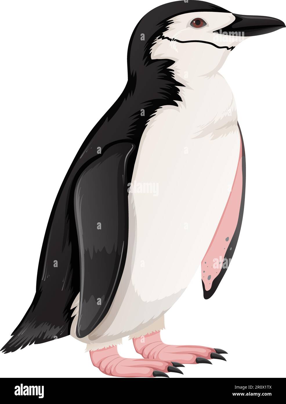 Chinstrap Penguin Clip Art