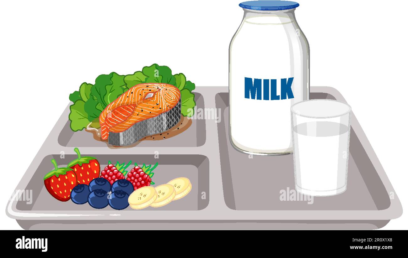 Vibrant Healthy Meal Vector Collection illustration Stock Vector Image ...