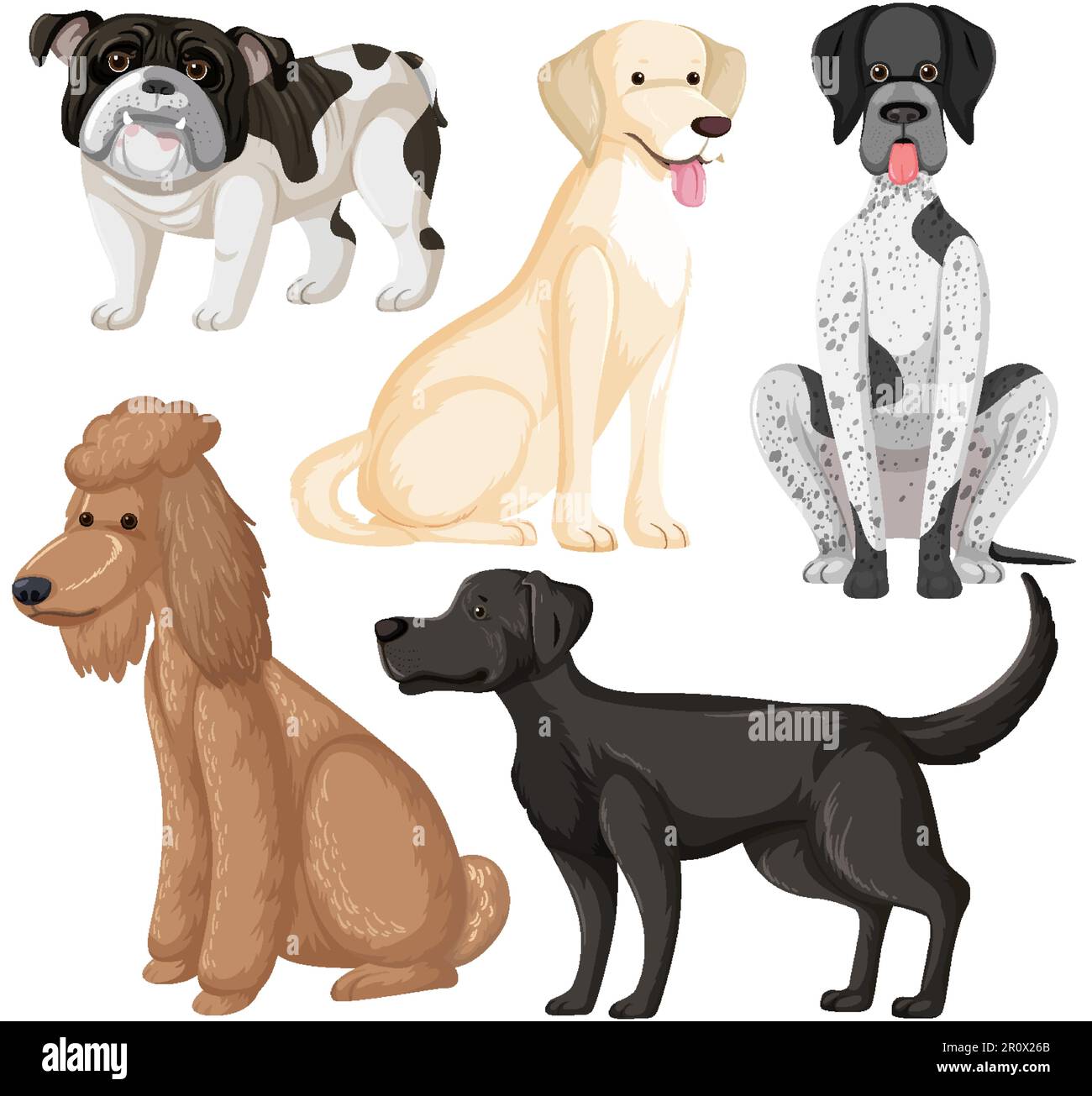 Set of dog dog breeds cartoon illustration Stock Vector Image & Art - Alamy