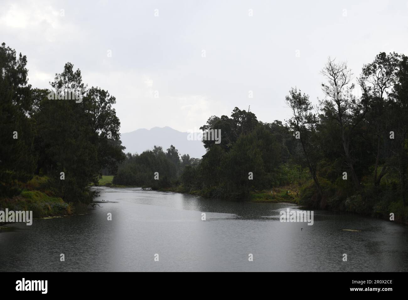 Bellinger river in rains shows its majestic beauty on the way to ...