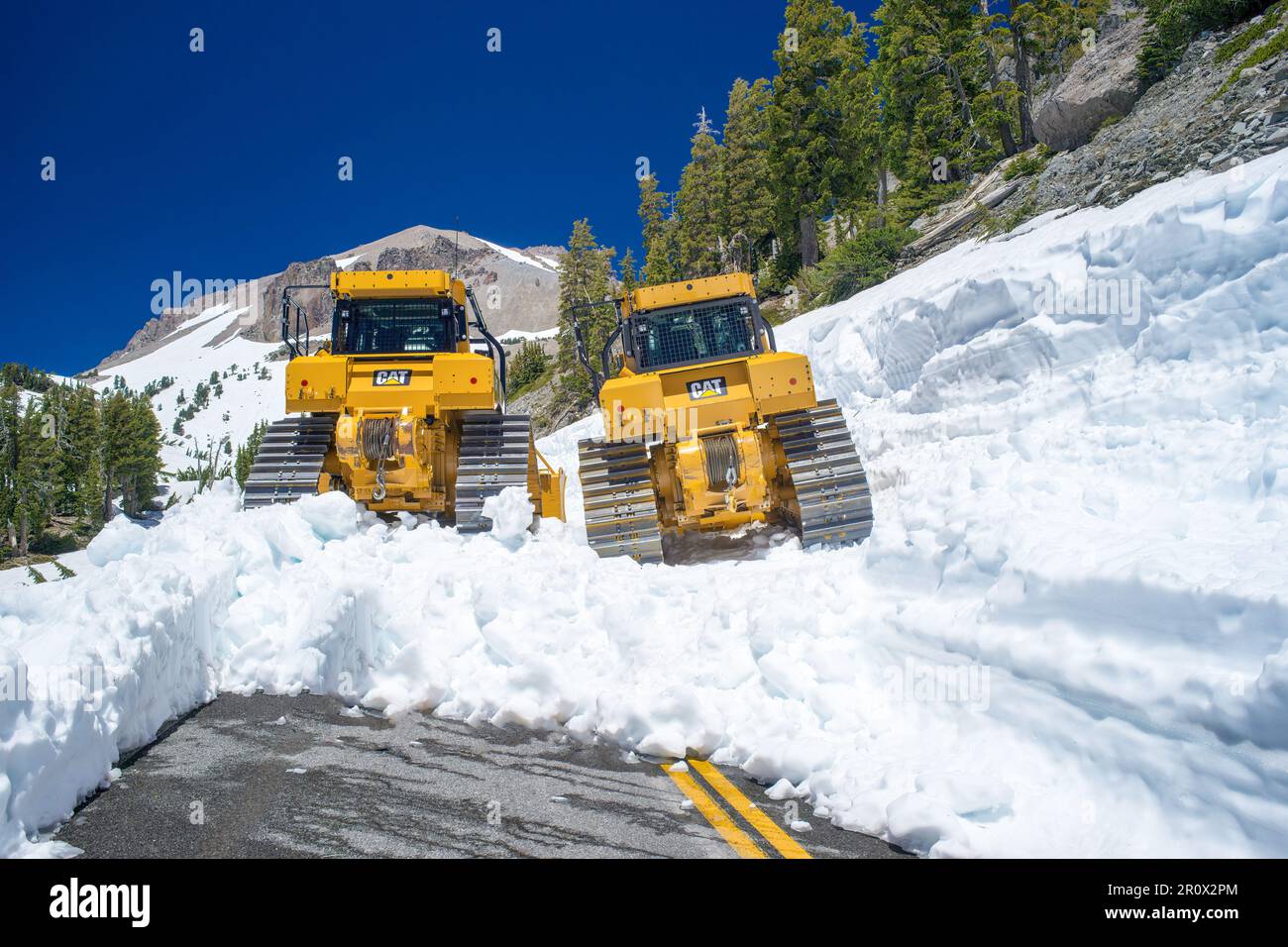 Cat traffic sign hi-res stock photography and images - Alamy