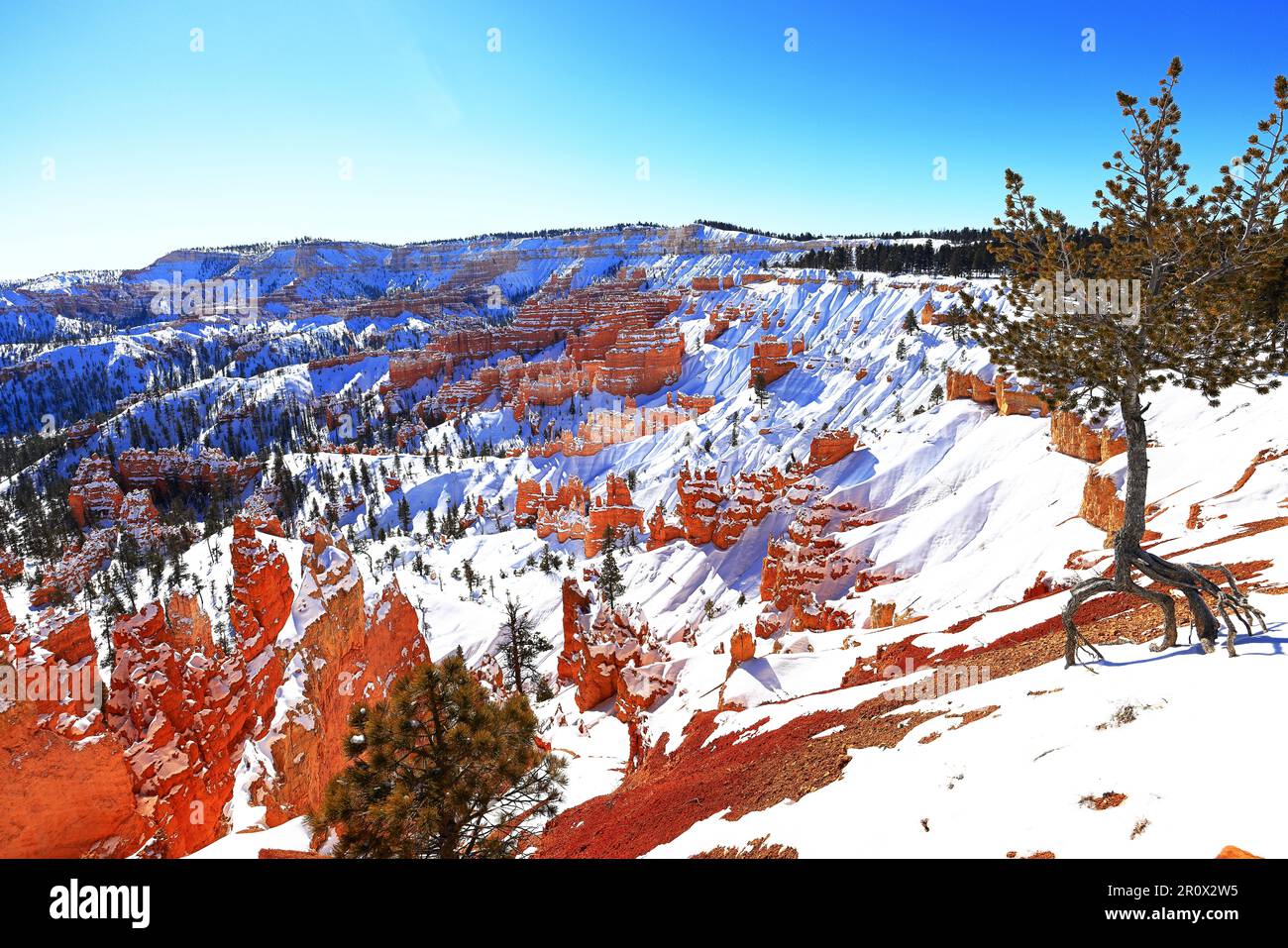 Queens Garden Trail in Bryce Canyon National Park, a Park with natural ...