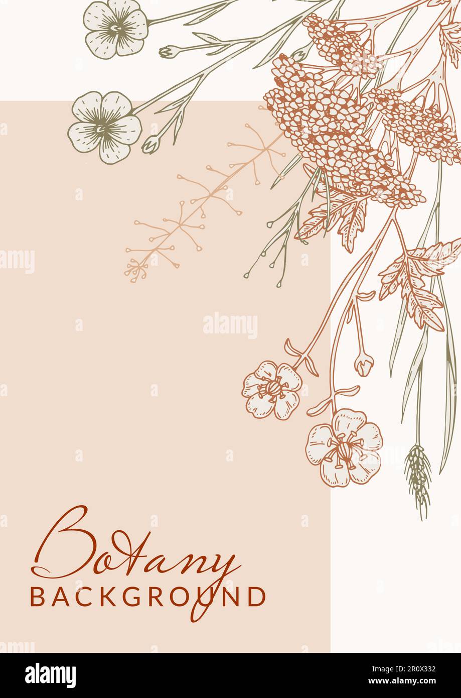 Hand drawn summer wildflowers design. Vector illustration in sketch ...