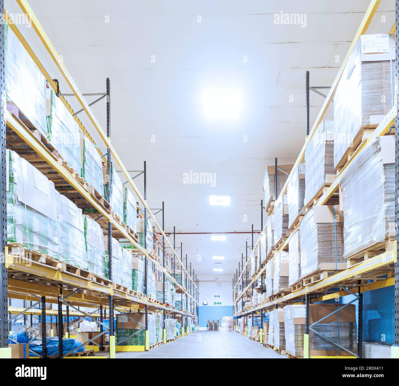 A series of industrial pallet trucks arranged in a neat row along a ...