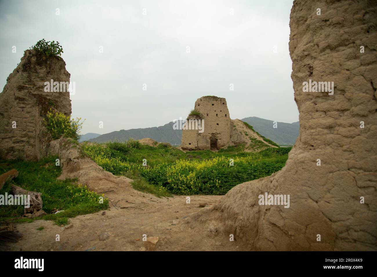 A beautiful castle in Noorabad Mamsani Stock Photo - Alamy