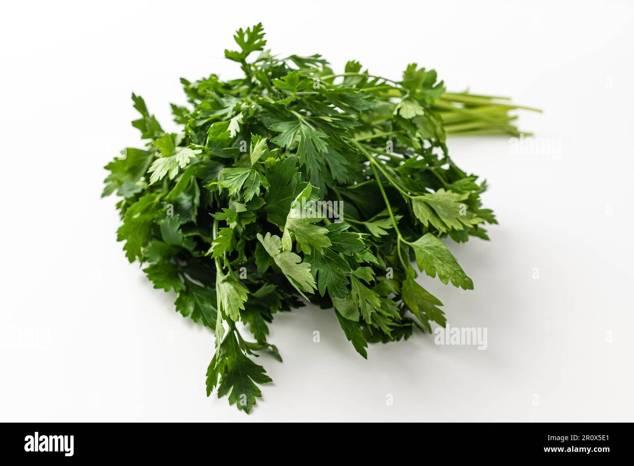 Italian parsley on a white background Stock Photo - Alamy