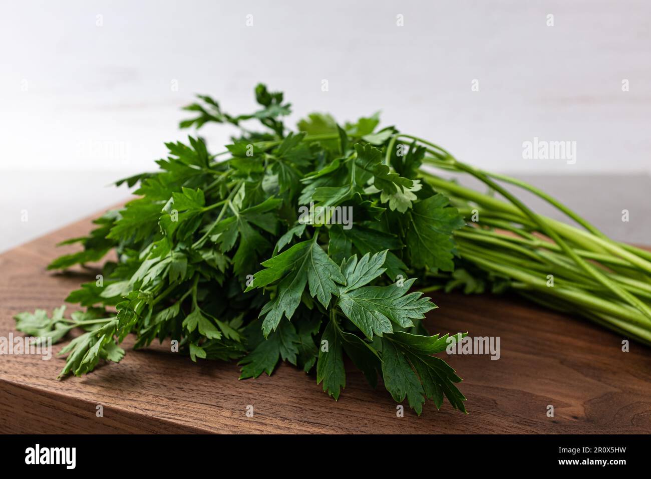 Flat-leaved, fragrant herb Italian parsley Stock Photo - Alamy