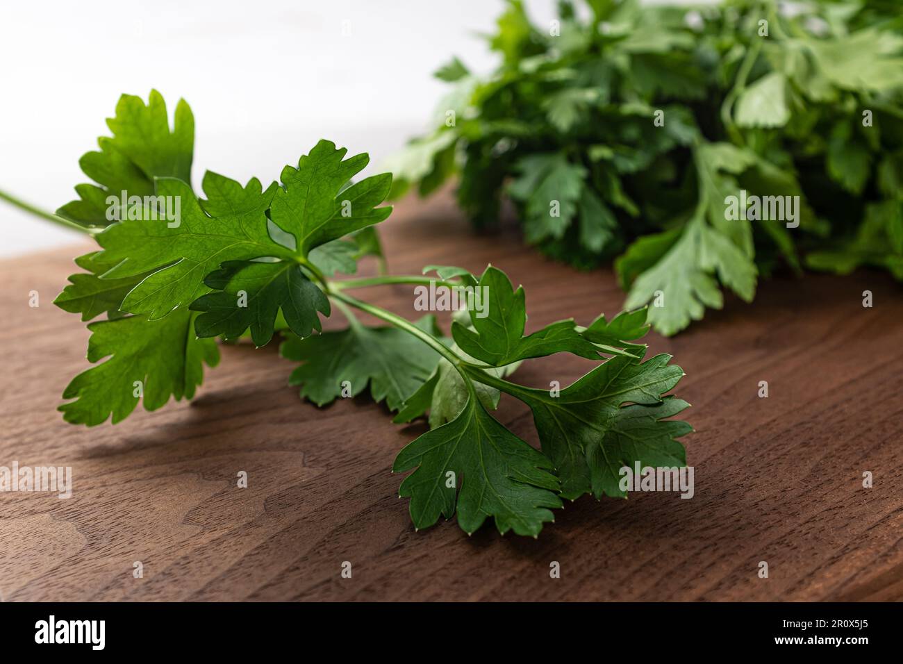 Flat-leaved, fragrant herb Italian parsley Stock Photo - Alamy
