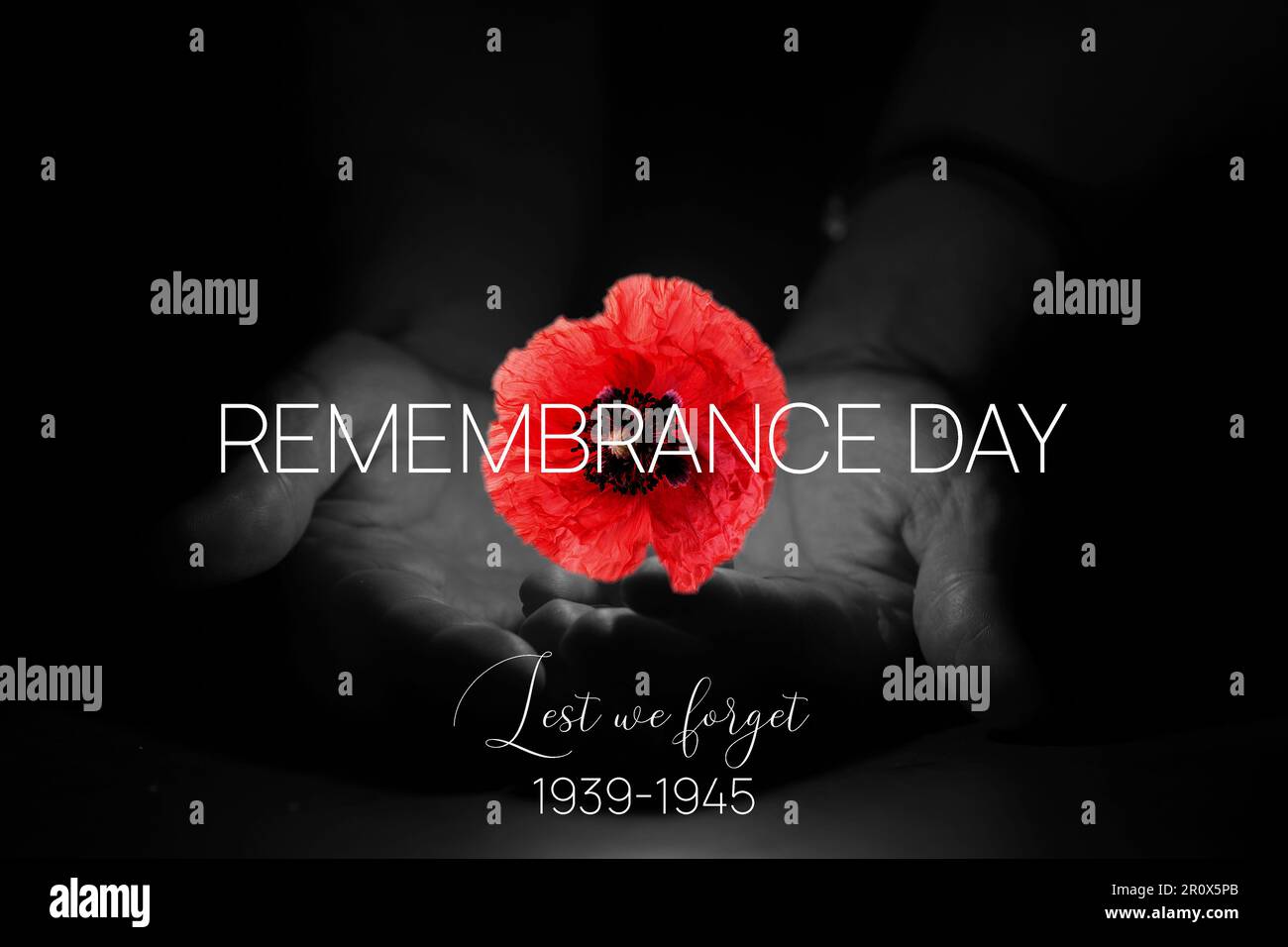 Remembrance Day Banner Template. Red Poppy over Burning Candle in the ...