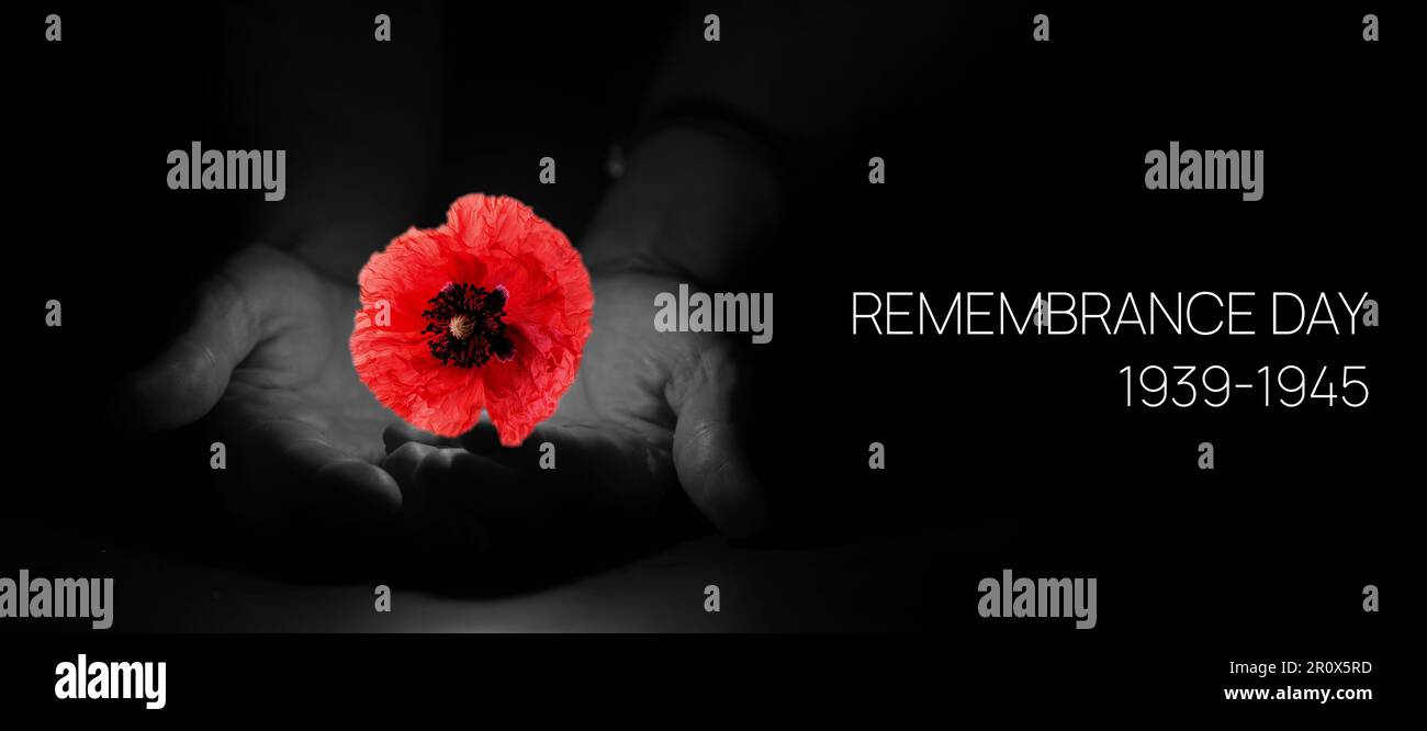 Remembrance Day Banner Template. Red Poppy over Burning Candle in the ...