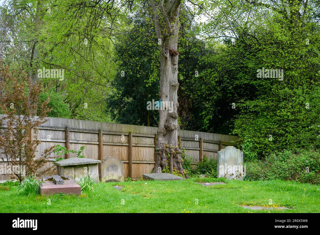 Attracting birds into a cemetery hi-res stock photography and images ...