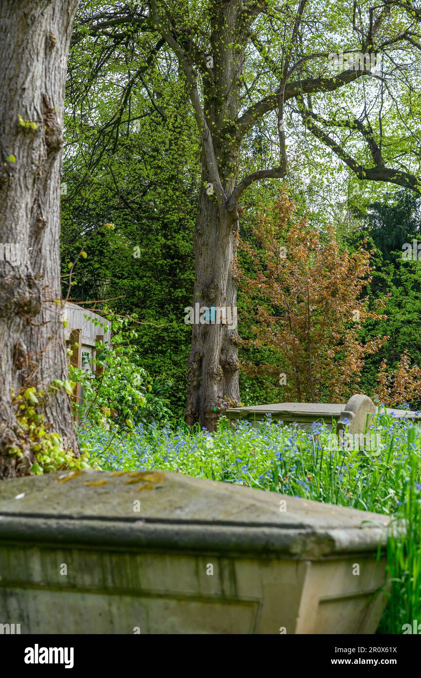 Nest box in a churchyard surrounded with old graves and headstones ...
