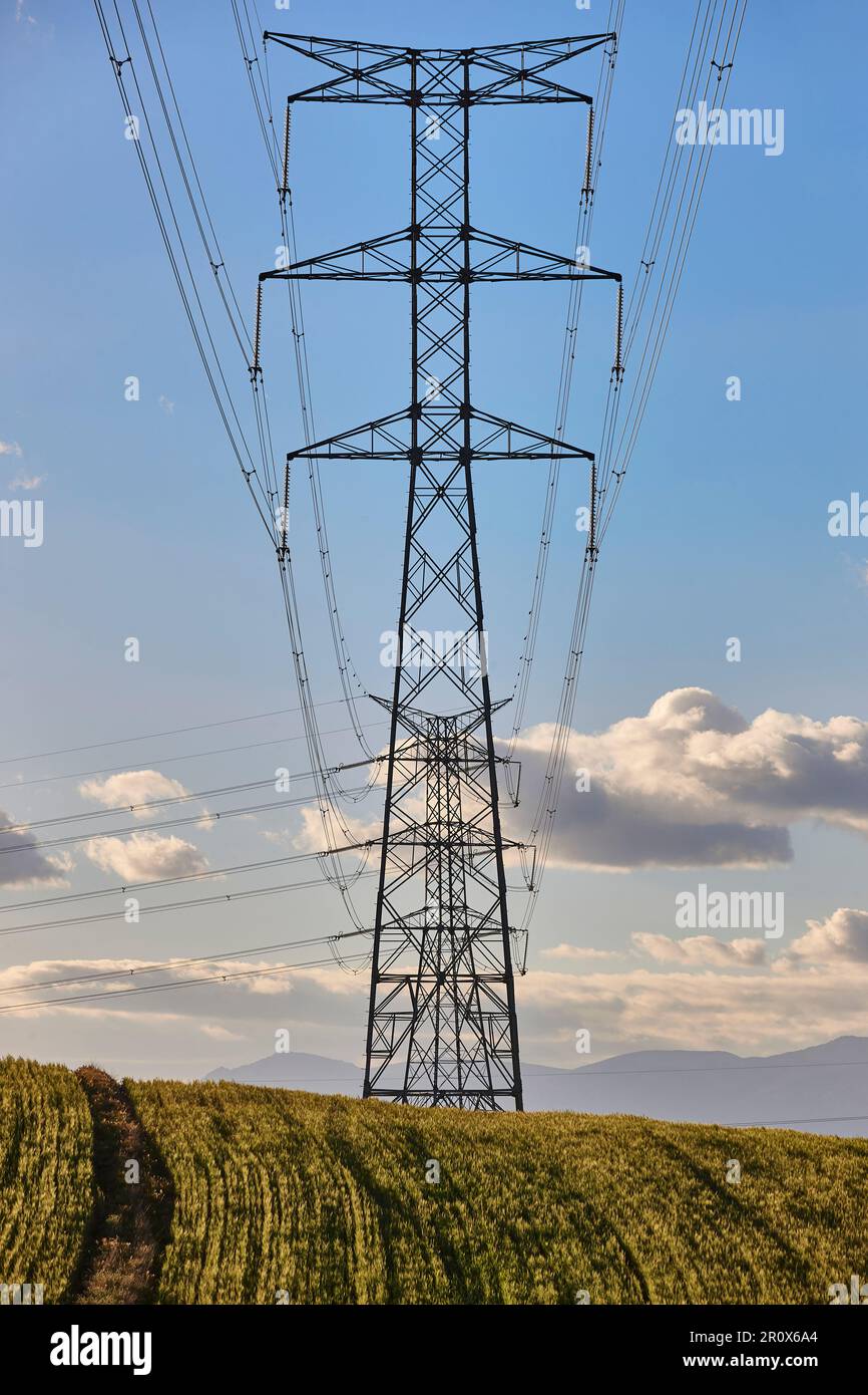 Power lines. Energy industry. Industrial electricity trasmission ...