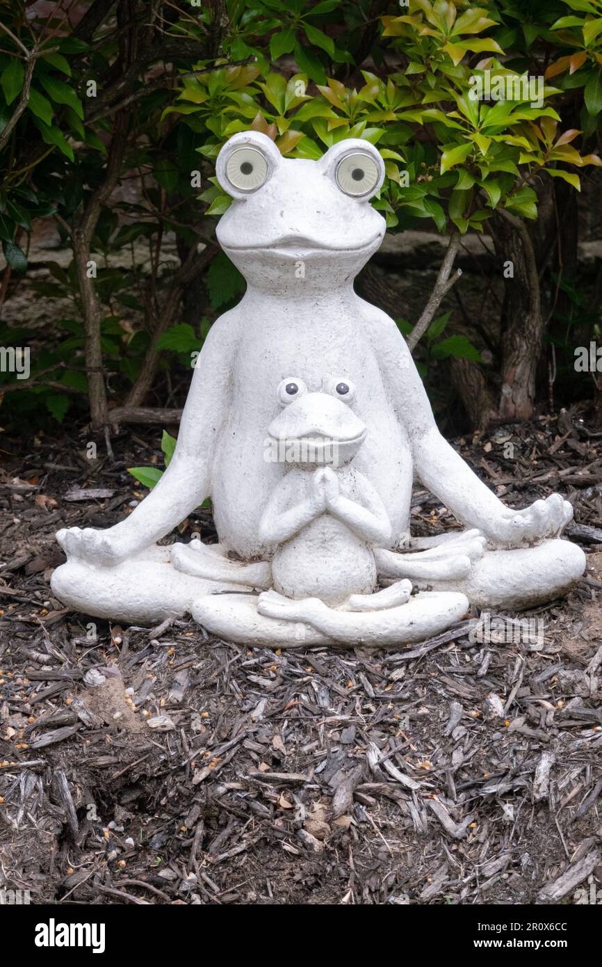 A garden ornament of 2 Buddhist frogs seated in the lotus position. In ...