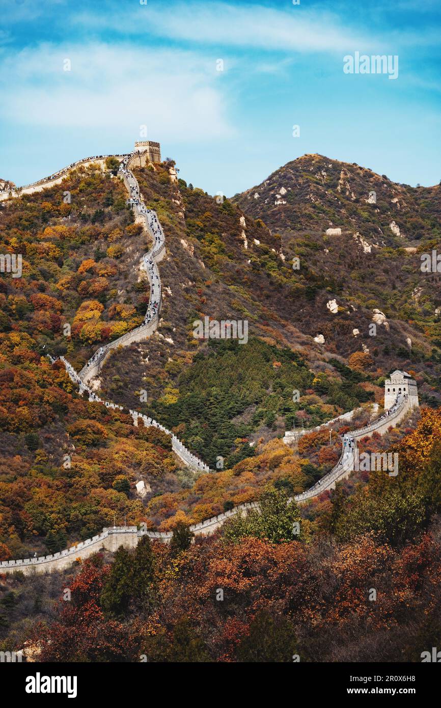 Vivid foliage frames hi-res stock photography and images - Alamy