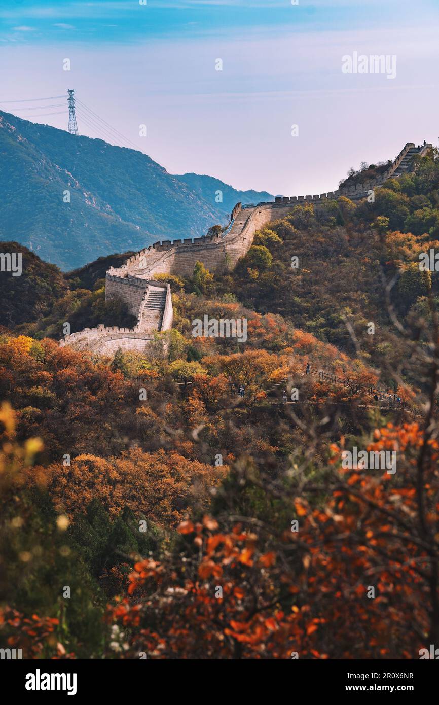 A scenic view of a heavily forested hillside with a steep incline Stock ...