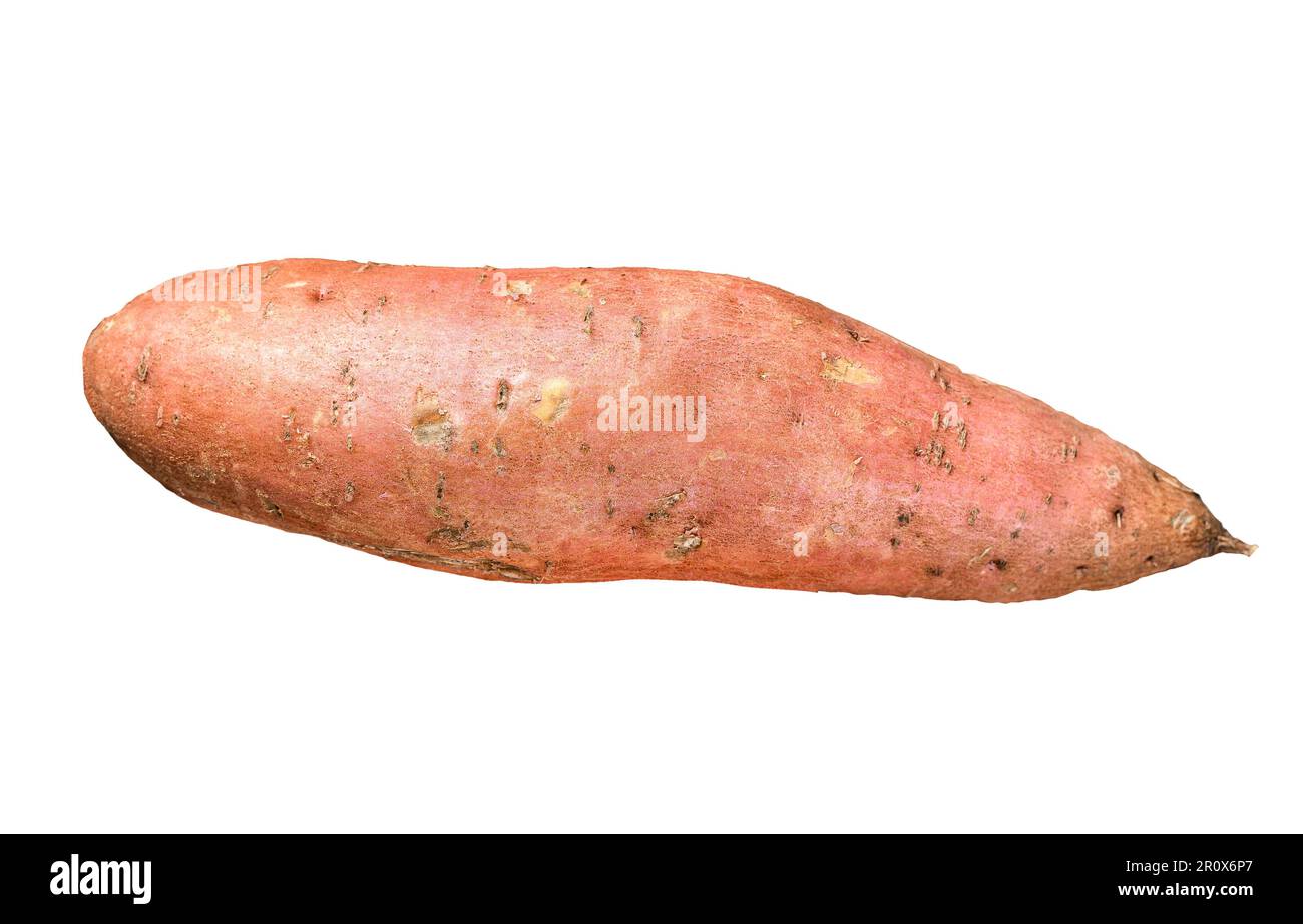 Raw batata Sweet potato on Wooden table. Isolated on white background ...