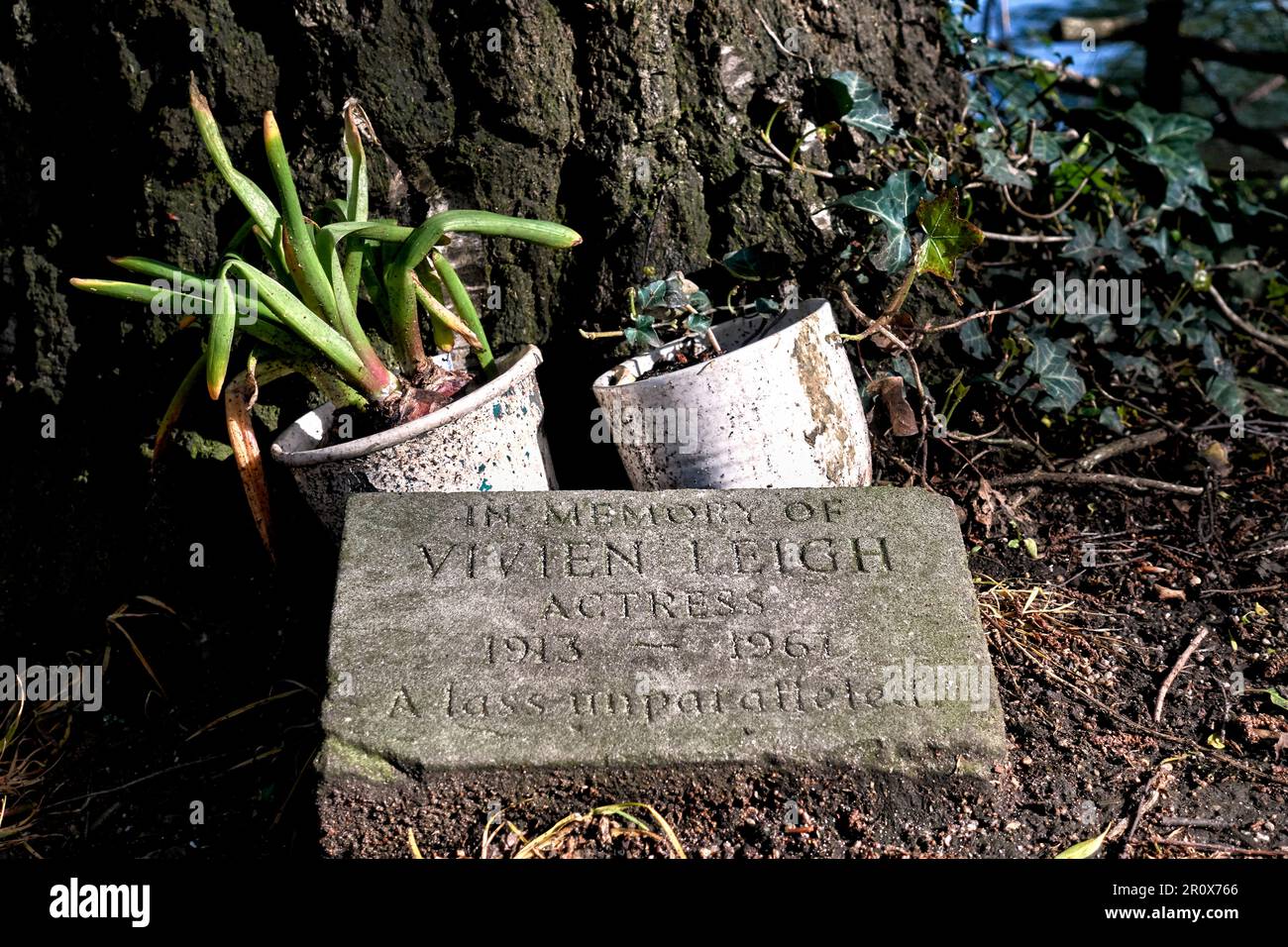 Rsc icon hi-res stock photography and images - Alamy