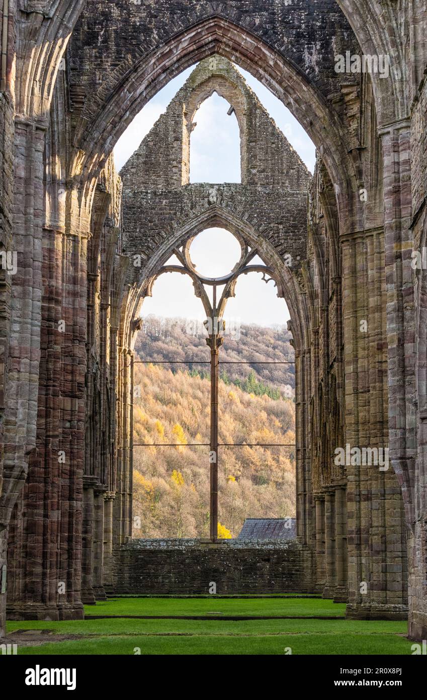 The ruins of Tintern Abbey, founded in 1131 by Cistercian monks ...
