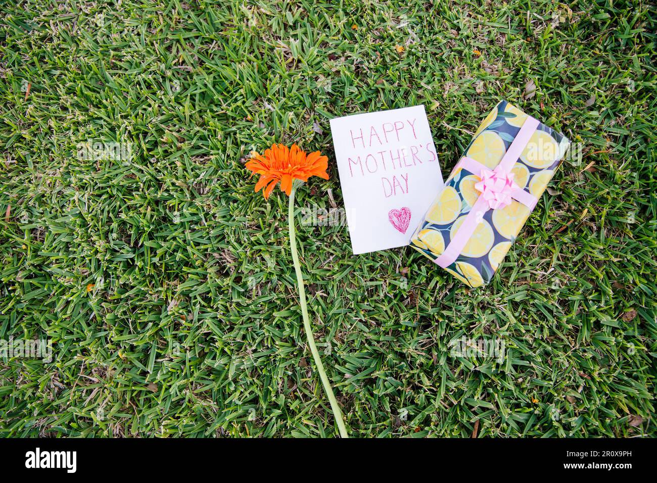 Dedication horizontal hi-res stock photography and images - Alamy