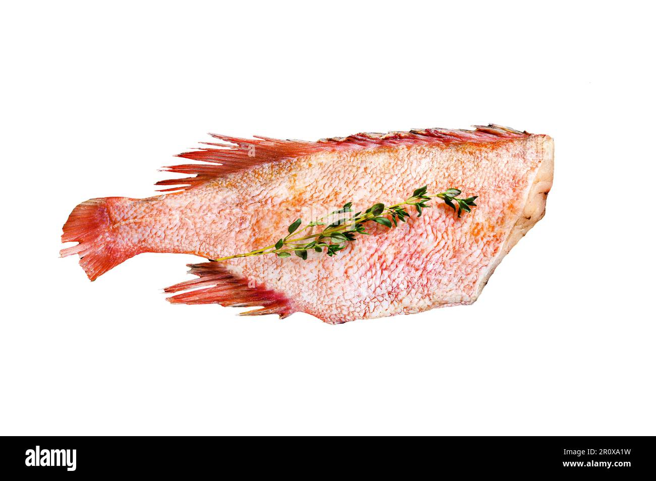 Raw red sea perch on a stone Board with thyme. Isolated on white ...