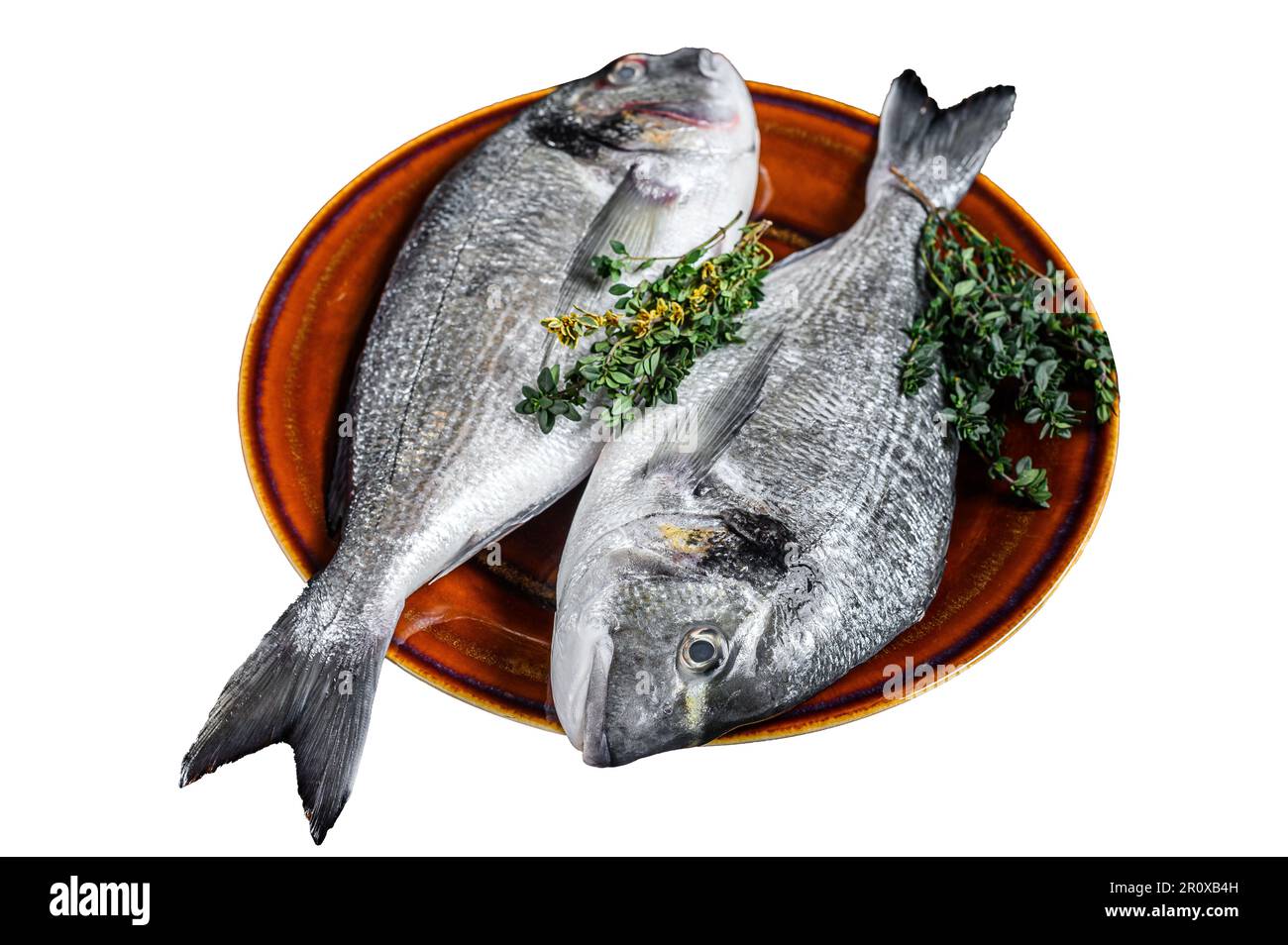 Raw Sea bream fish and ingredients for cooking. Isolated on white ...