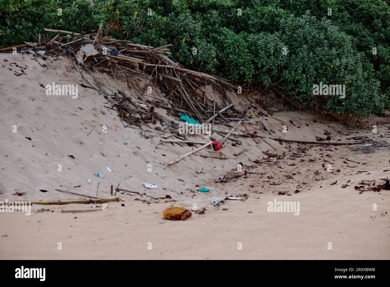 Bottles of plastic and garbage on the sand on the beach near the ocean ...