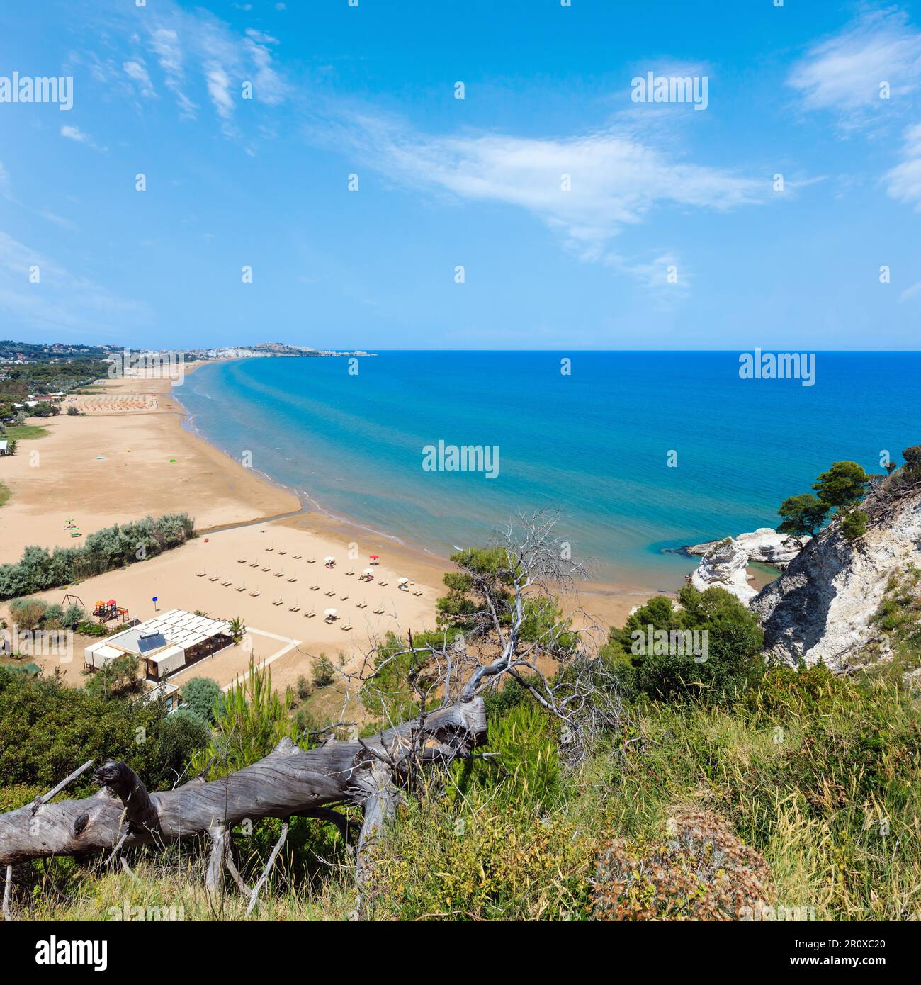 Summer Lido di Portonuovo Adriatic sea beach view with big old dry tree ...