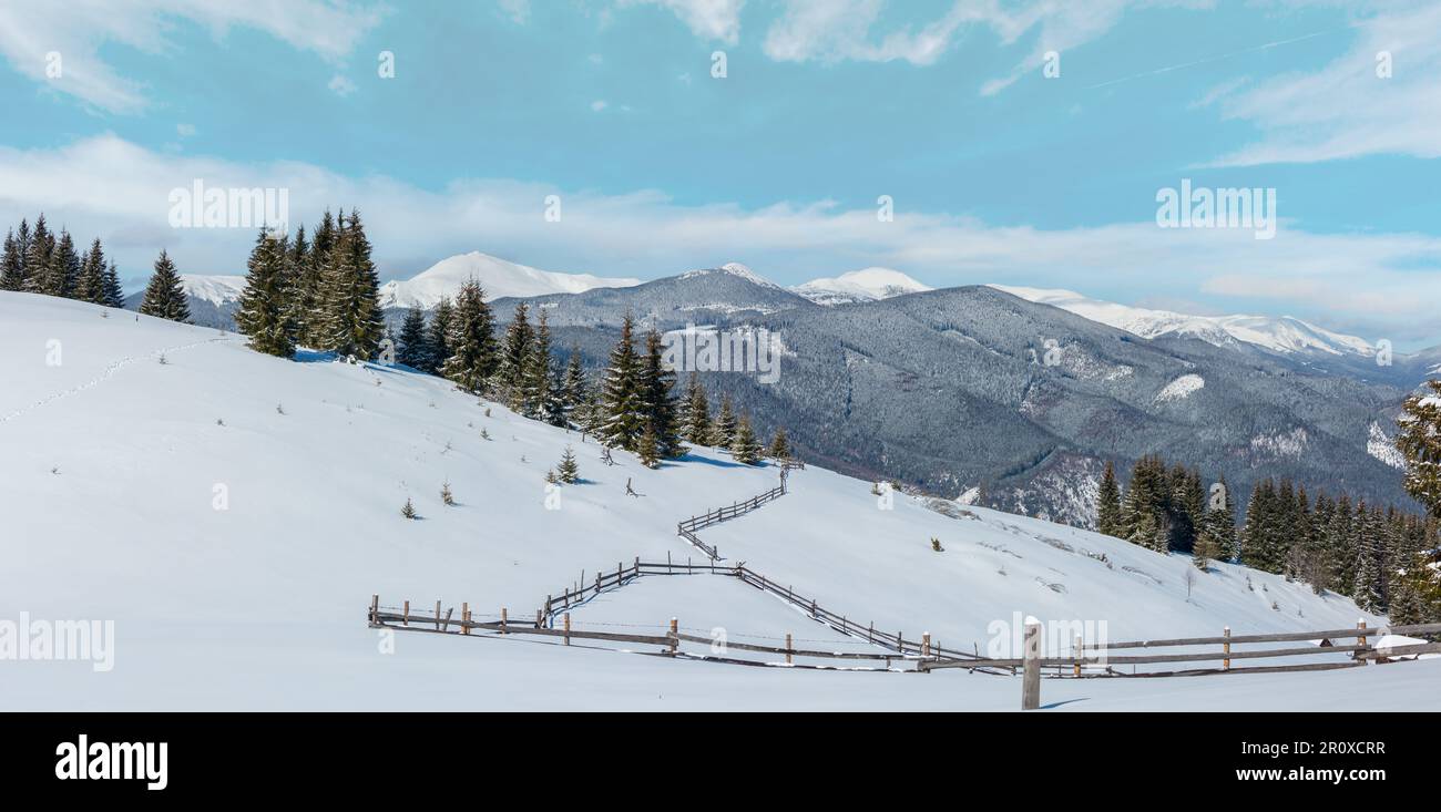 Picturesque winter mountain view from Skupova mountain slope, Ukraine ...