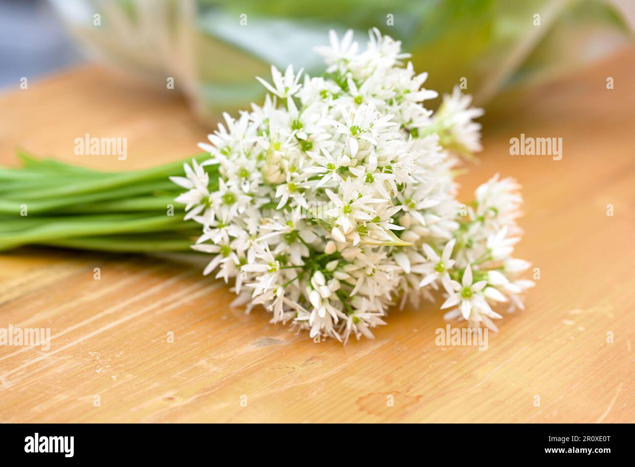 Edible flower garnish hi-res stock photography and images - Alamy