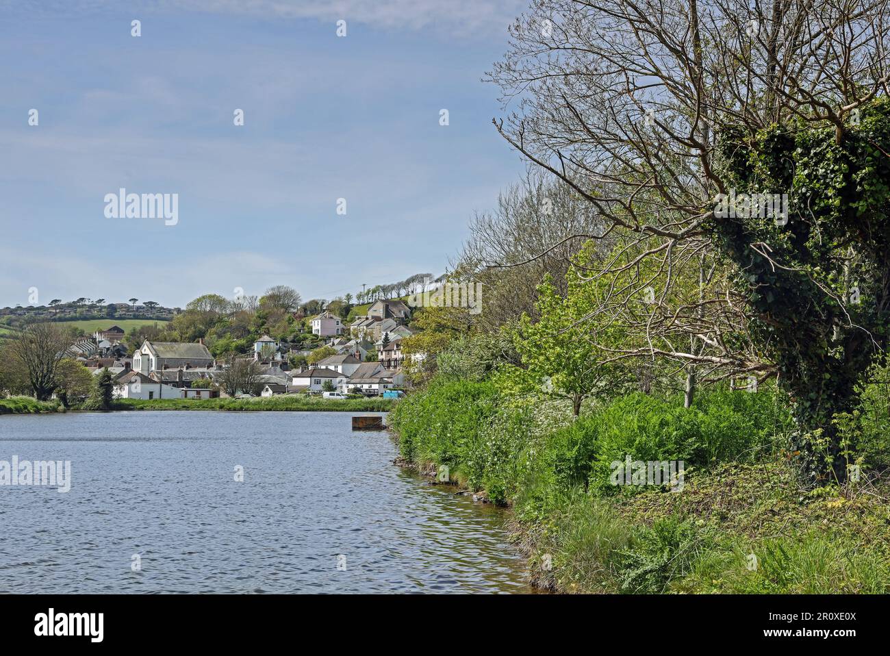Trees in the compact Millbrook Park beside the lake in south east ...