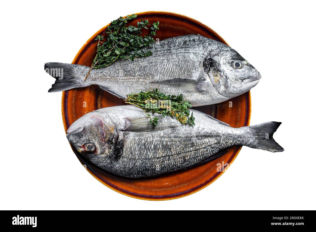 Raw Sea bream fish and ingredients for cooking. Isolated on white ...