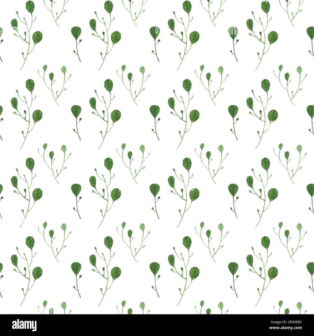 watercolor pattern with minimalistic twigs, leaves pattern, grass print ...