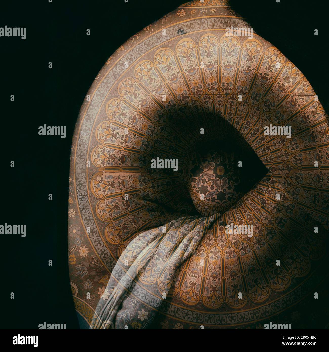 Fused body hi-res stock photography and images - Alamy