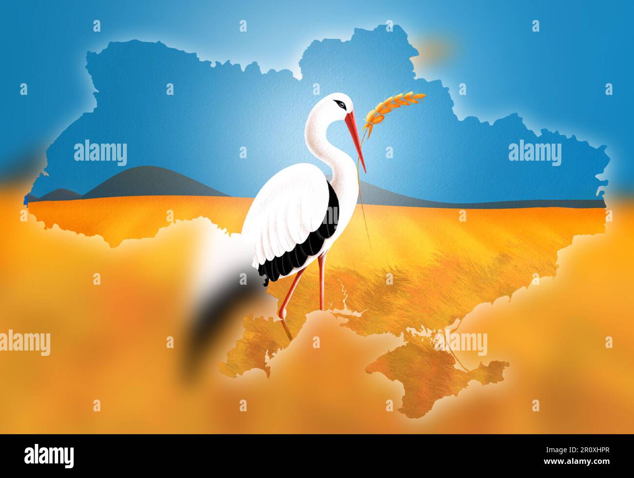 Map of Ukraine with a stork on a yellow-blue background Stock Photo - Alamy