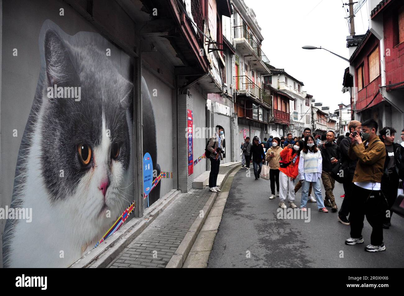 An old street draws visitors following the introduction of giant cat ...