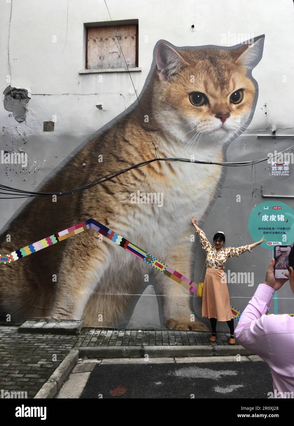 An old street draws visitors following the introduction of giant cat ...