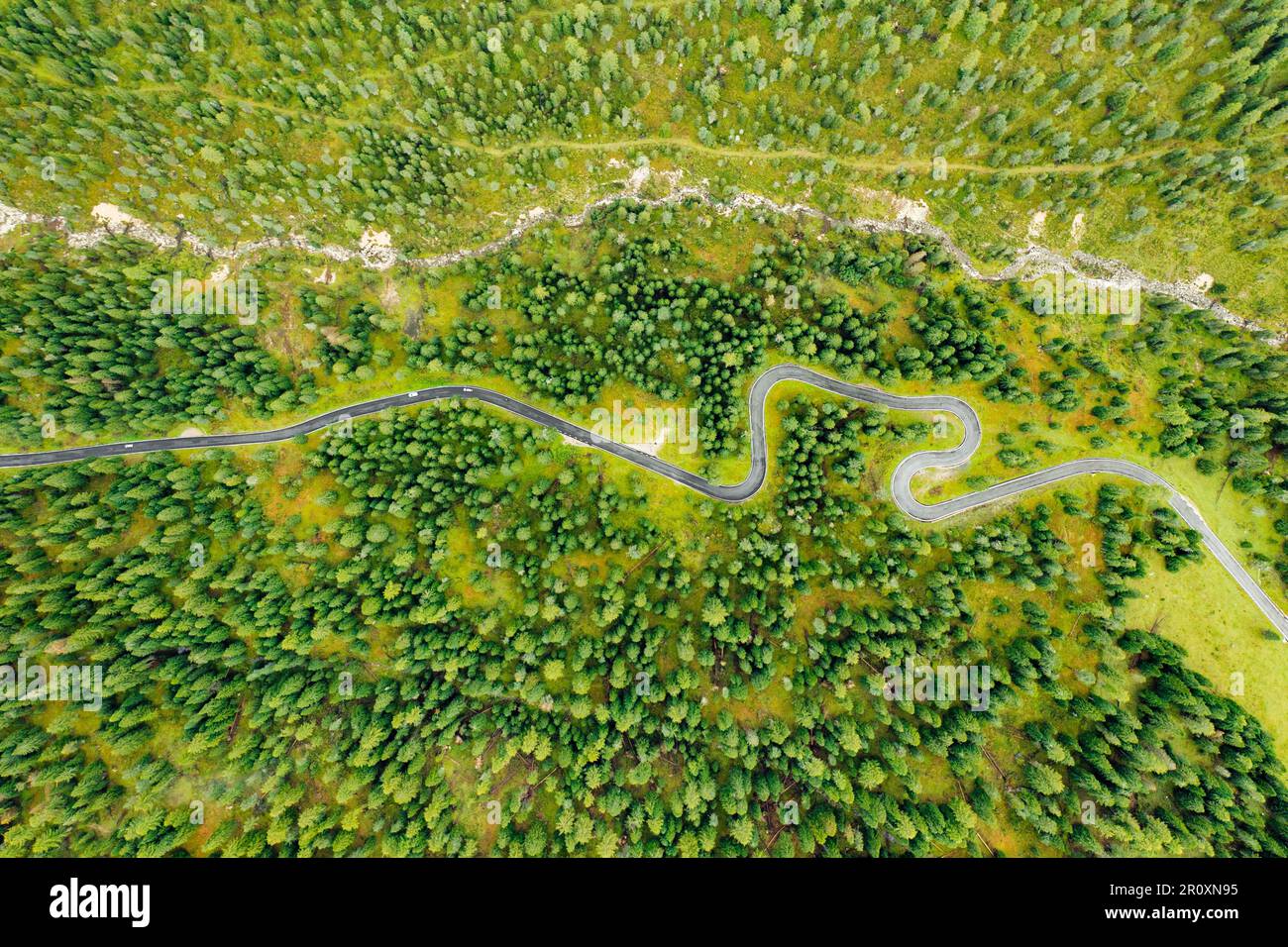 Aerial view of breathtaking Snake Road, surrounded by stunning forests ...