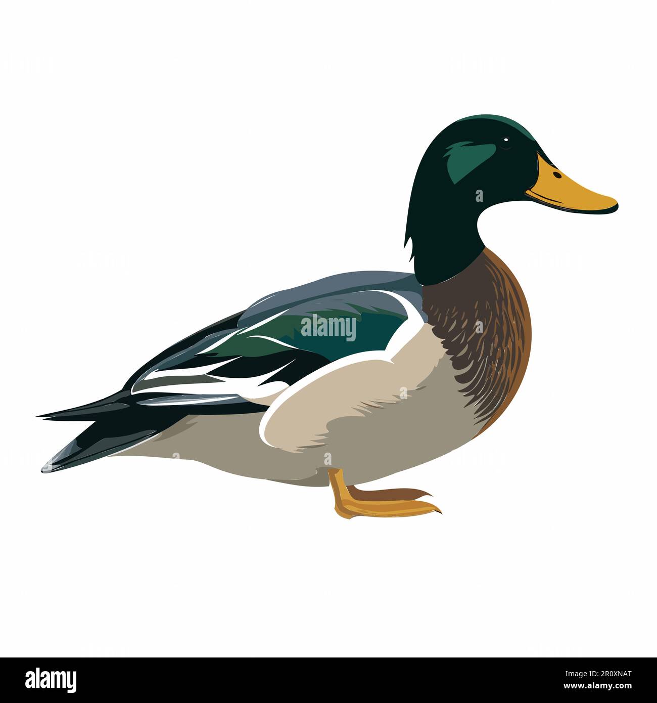 Preen Cut Out Stock Images & Pictures - Alamy