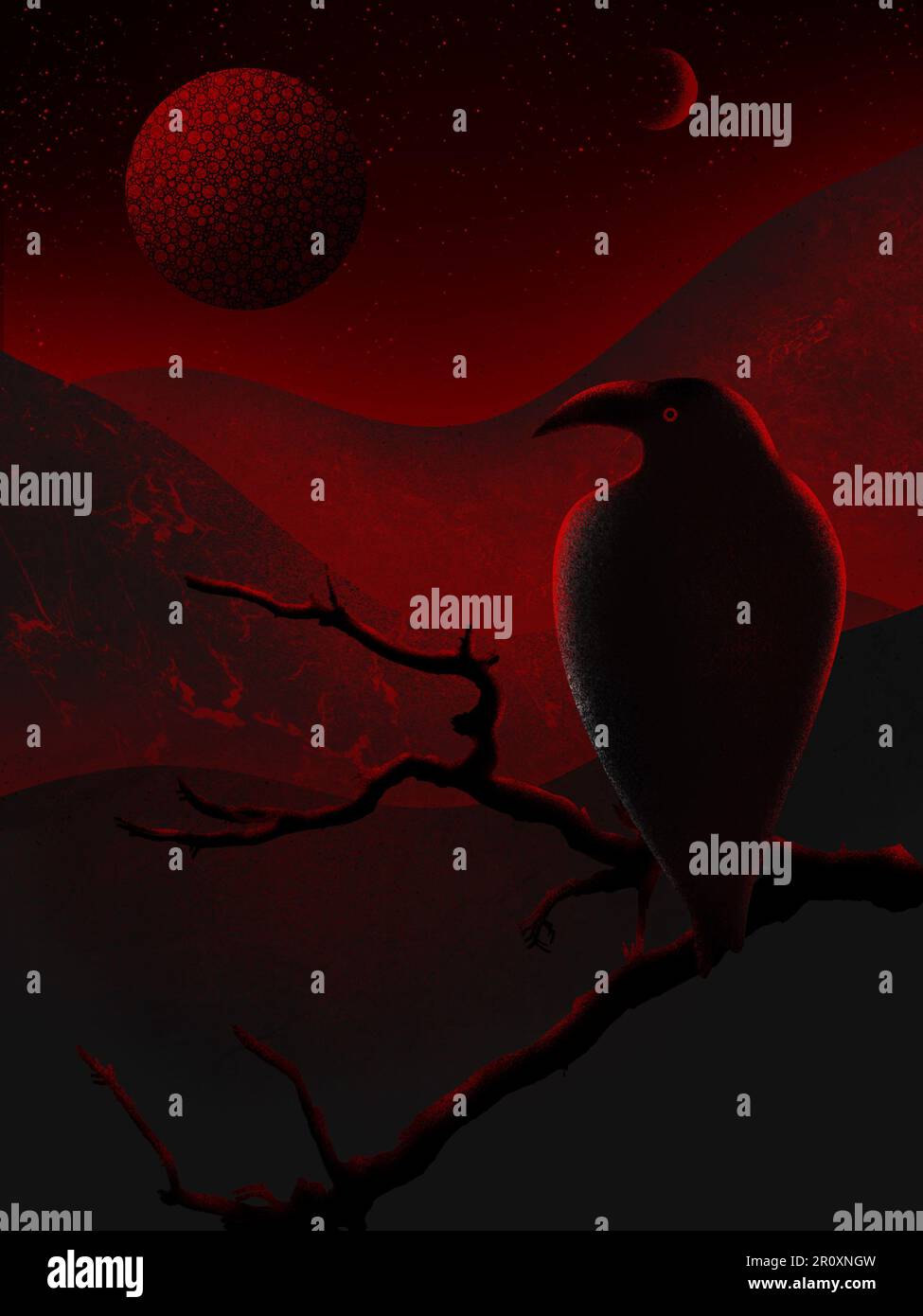 Night raven hi-res stock photography and images - Alamy