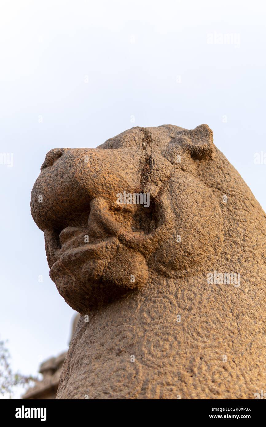 The Lion Statue in the Five Rathas is a well-known sculpture that can ...