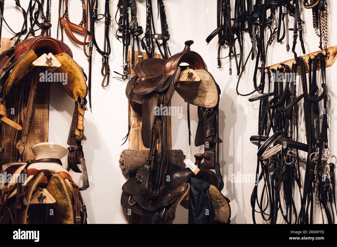 A collection of assorted horse saddles arranged neatly on a wall Stock ...