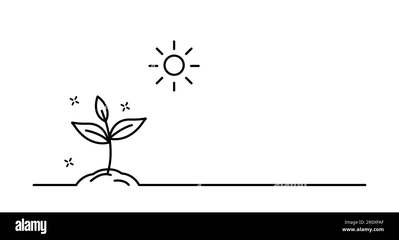 Grow plant leaf. Concept of plant growth or business development. Thin ...