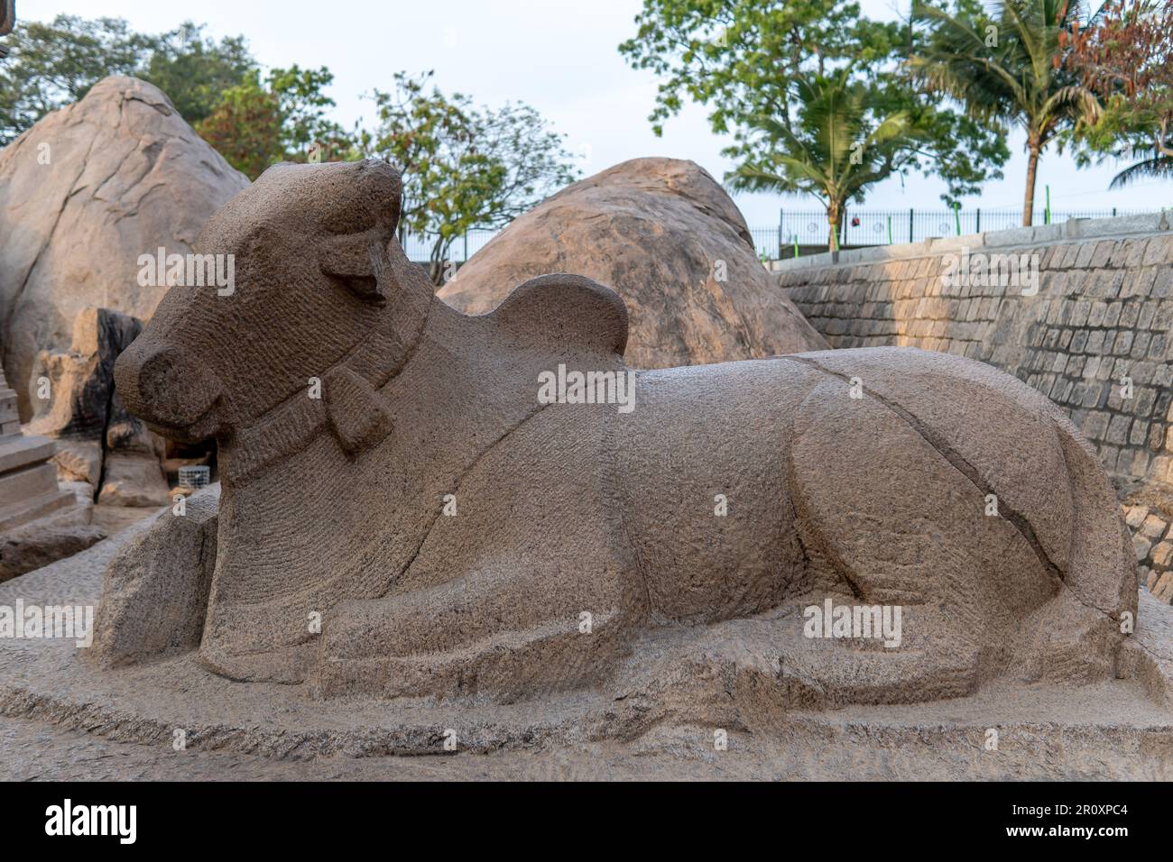 Large nandhi god in a temple on the coast near Mahabalipuram Stock ...