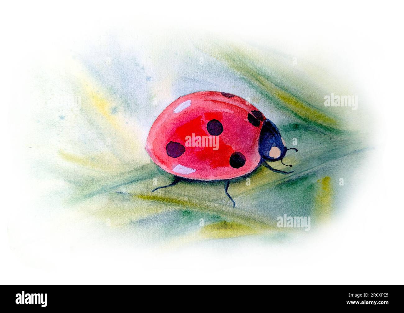 Watercolor botanical summer illustration with colorful ladybug, meadow ...