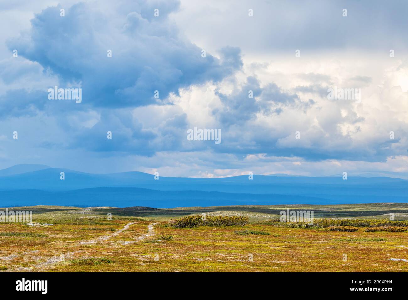 Hiking trail in a wild moorland with mountains in the horizon Stock ...