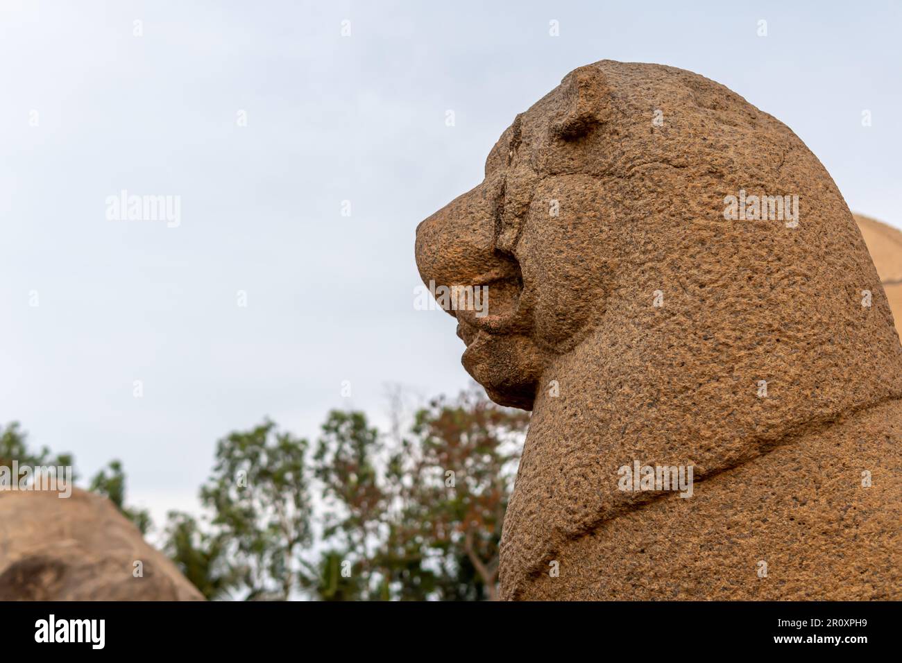 The Lion Statue in the Five Rathas is a well-known sculpture that can ...