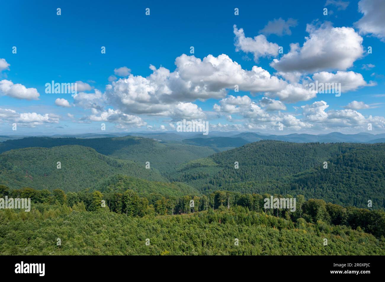 View from the Luitpold Tower over the Palatinate Forest, Merzalben ...