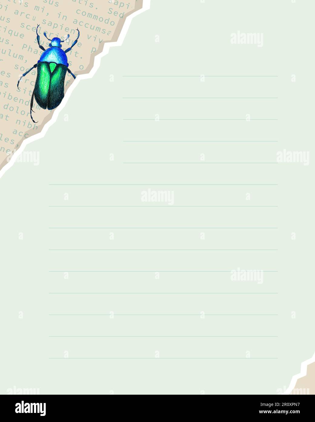 Reminders blank vintage decoupage collage style with hand drawn pencil ...